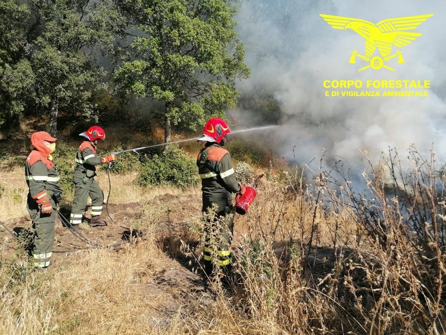 Fiamme nella zona di Tanca Manna a Macomer, in azione elicotteri e ...