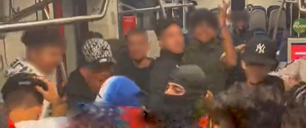 Sindacato di polizia: «Baby gang sui treni della Bologna-Vignola, la ...