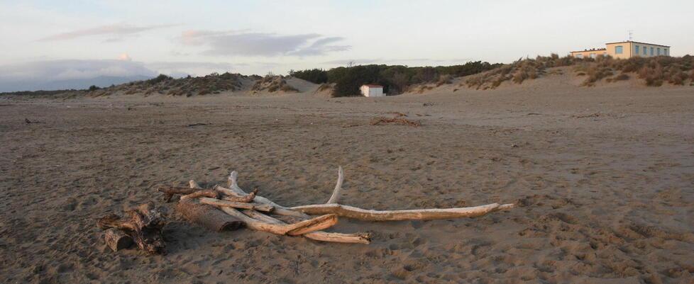 Maremma ancora da copertina: Fiumara diventa set fotografico per una ...