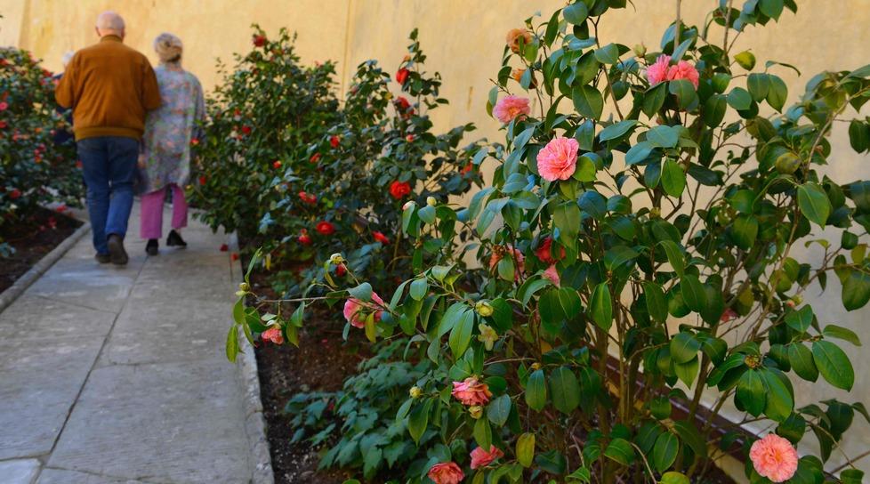 Firenze, a Boboli apre per la prima volta al pubblico il giardino ...