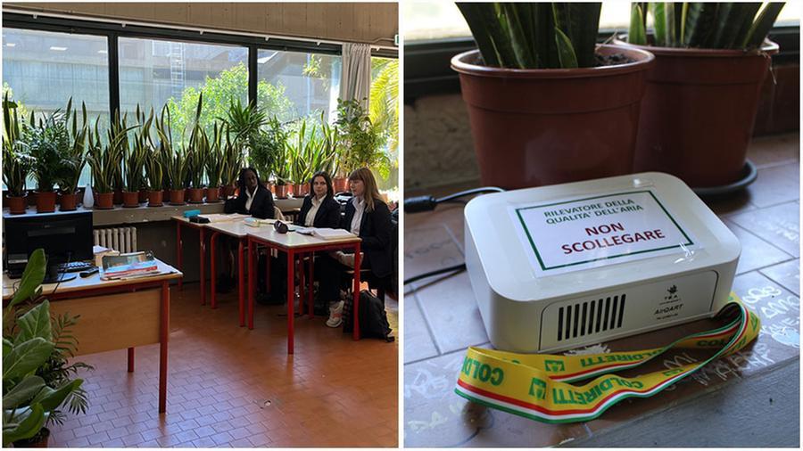 Firenze, dalla Nasa all’alberghiero Saffi: piante in aula per ...