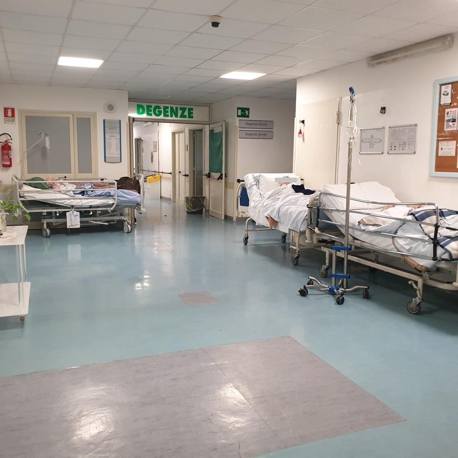 Muore a 25 anni in attesa di un trapianto: cordoglio a Nuoro - La Nuova ...