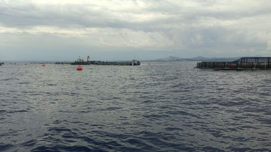 Naufragio all'Asinara, il legale dei Calvia: «Analizzeremo le ... Naufragio all'Asinara, il legale dei Calvia: «Analizzeremo le ...