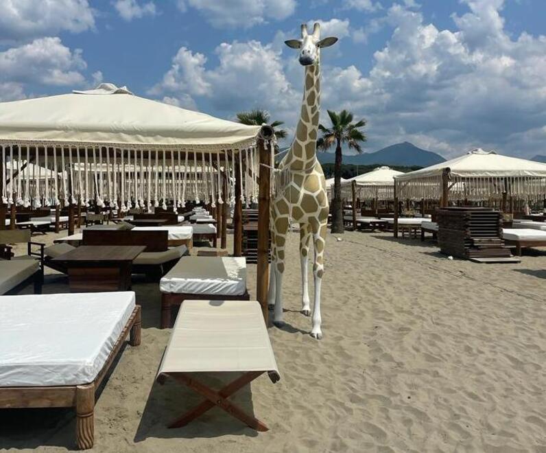 Versilia, tutto esaurito al Twiga e per la Pagoda c’è la fila - Il Tirreno