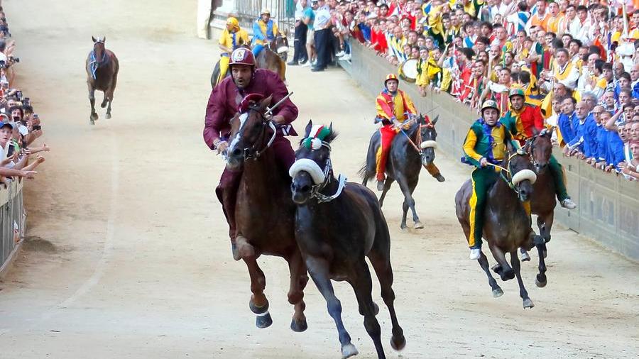Palio di Siena, vince l’Oca con il cavallo scosso - Il Tirreno Palio di Siena, vince l’Oca con il cavallo scosso - Il Tirreno