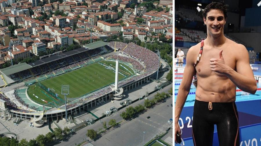 Lavori al Franchi, il nuoto si ribella. Zazzeri: «E noi dove ci ...