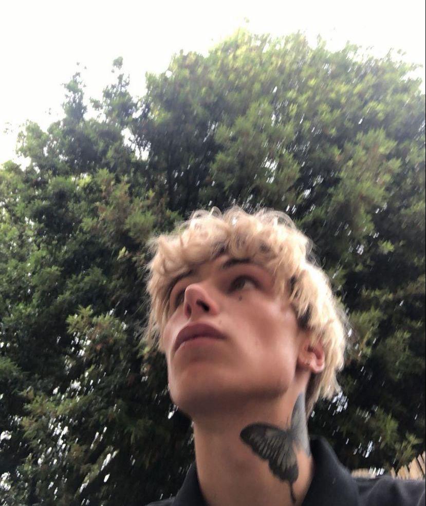 Dalla sua Livorno alla scuola di Amici di Maria, è ufficiale: il ...