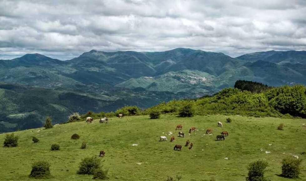 Intesa bipartisan per tutelare la Calvana e il Monteferrato - Il Tirreno