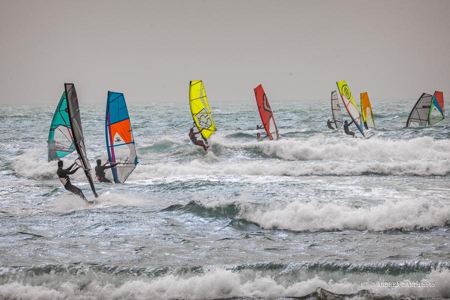 Livorno, Buona Pasqua al salmastro “sahariano” da Andrea Dani - Il Tirreno