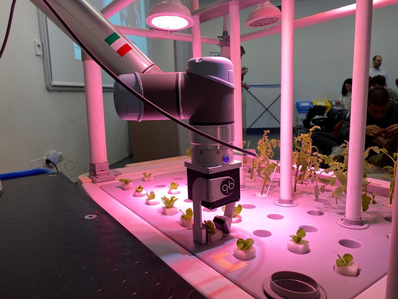 Internet Festival, dai robot sempre più umani alla bistecca 3D: il ...