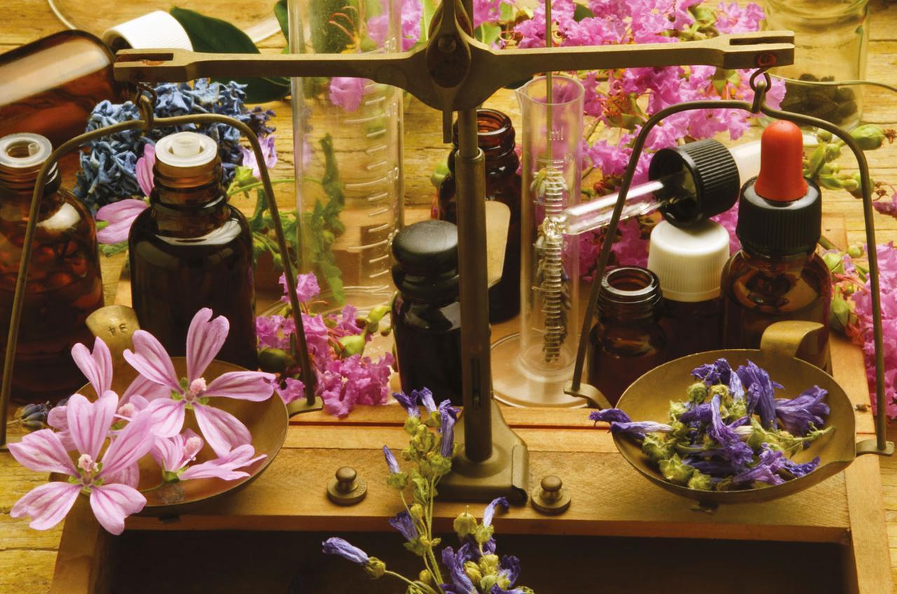 Fiori di Bach: Cosa Sono, Benefici e Come Sceglierli al Meglio - Il Tirreno
