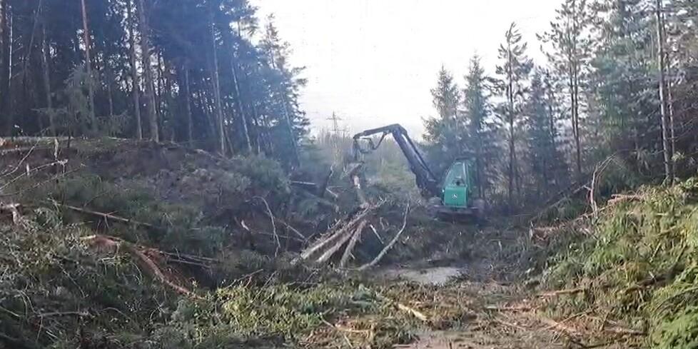 Palagano, apprensione per la frana: «Si è estesa per altri cento metri ...