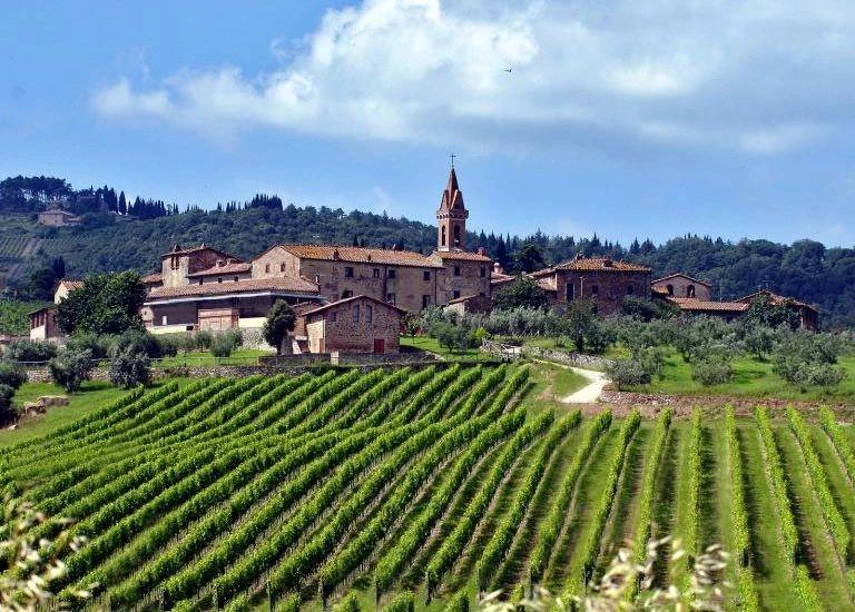 Ecco Rosambra, primo rosé da Sangiovese: la novità di Arceno 2024 - Il ...