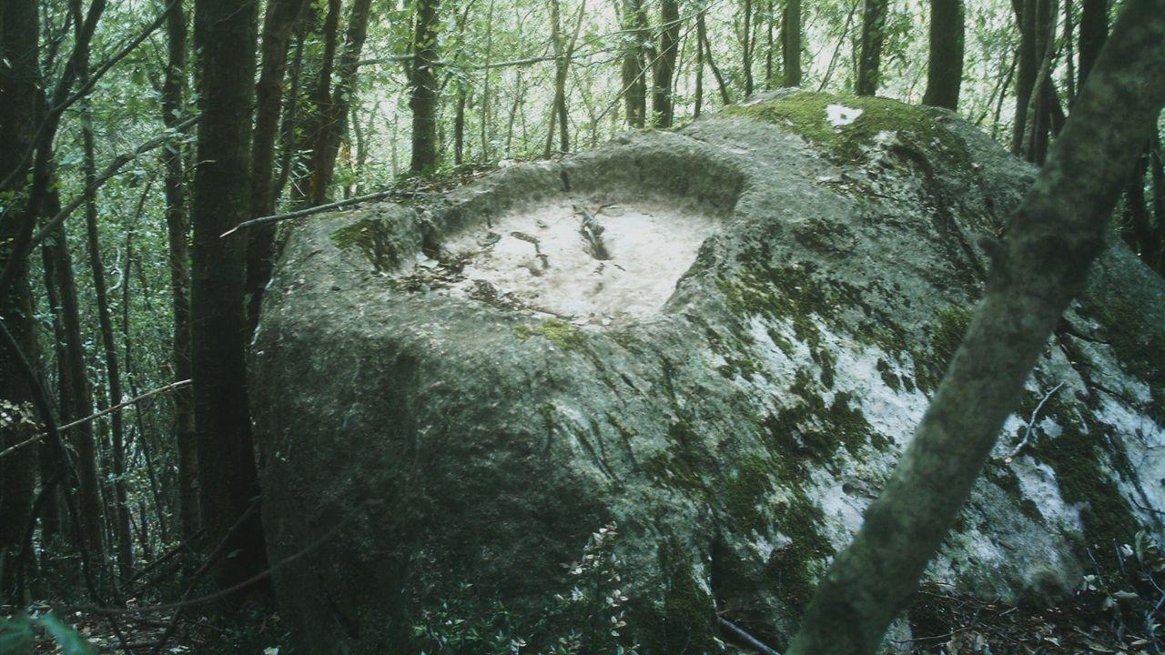 Lucca, Ztl: ecco i nuovi varchi in uscita e a maggio via alla ...