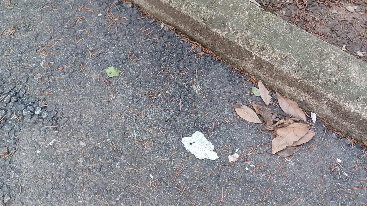 Incendio Inalca, il Comitato Amianto Zero condivide col Comune di ...