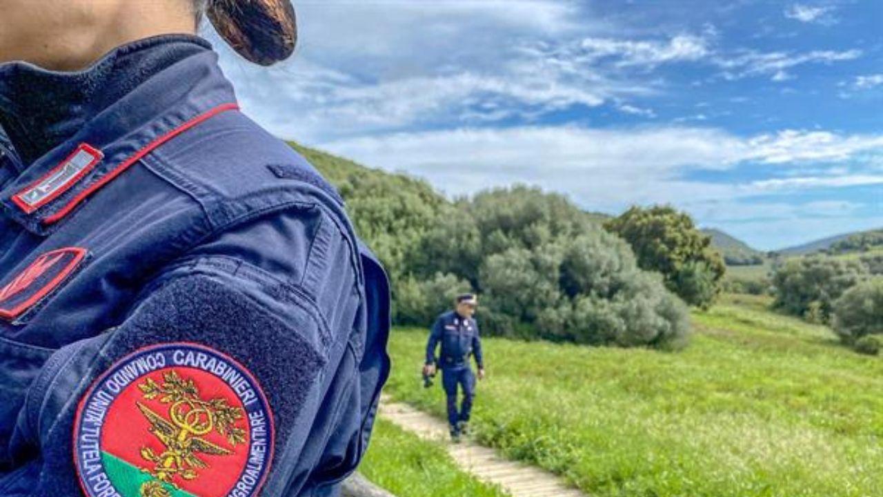Laura Grillo, marescialla dei Carabinieri trovata morta a 28 anni ...