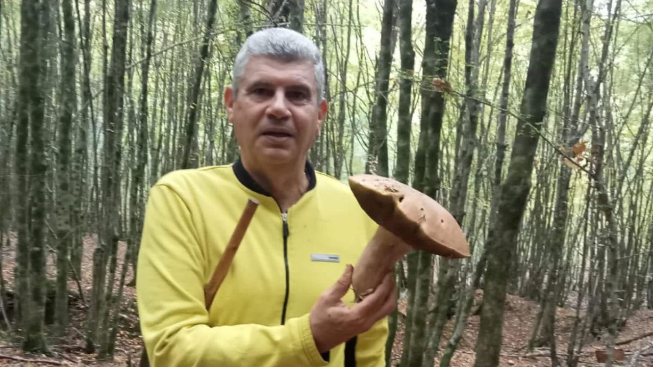 Funghi in Toscana, previsioni ottime: Amiata e Maremma pronte a una ...