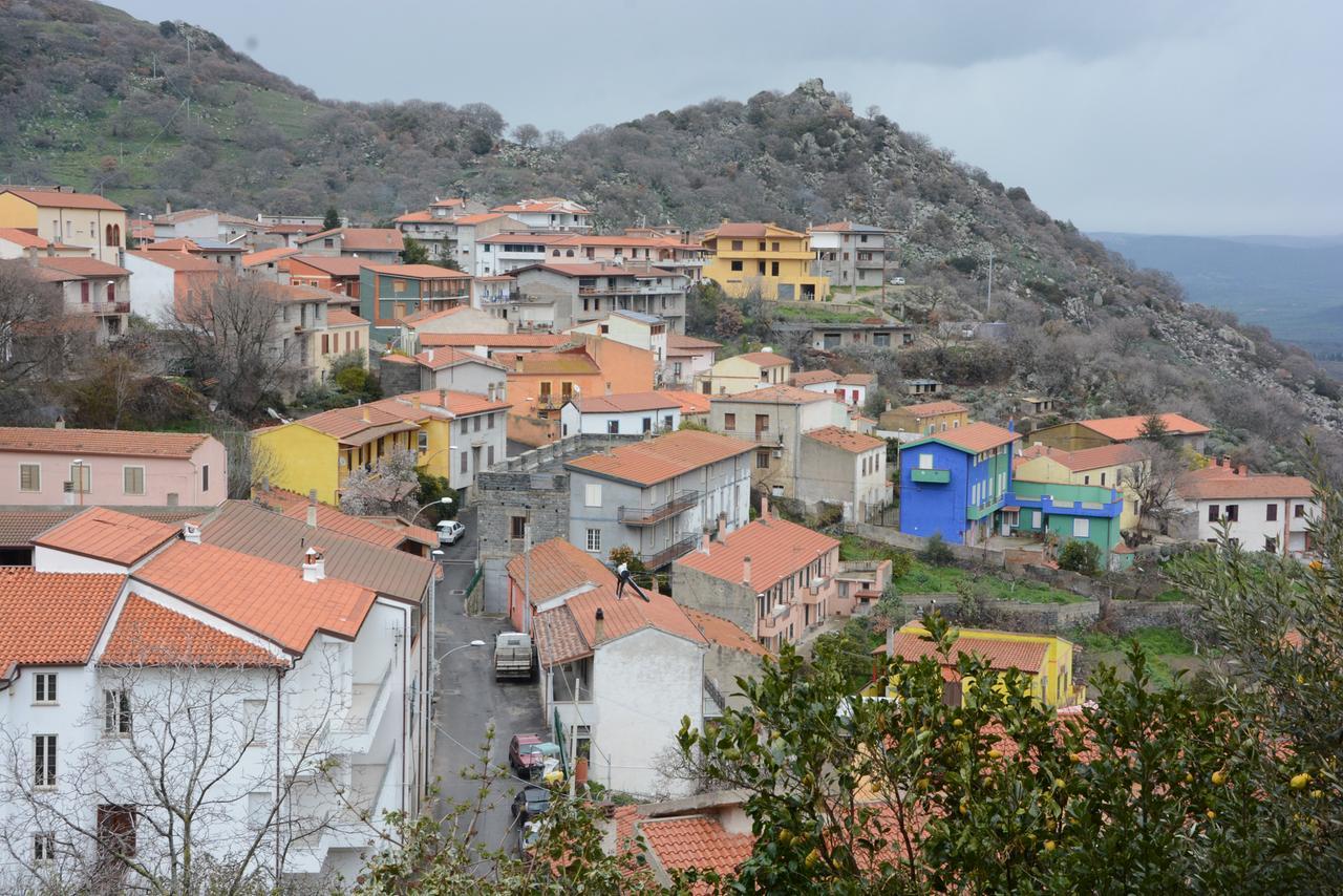 Elezioni amministrative 2026 a Burgos - La Nuova Sardegna