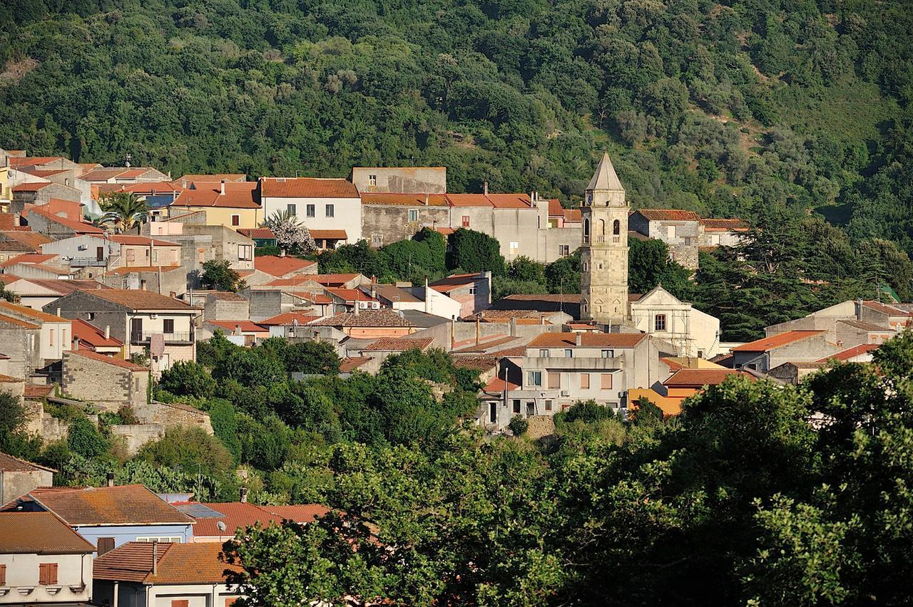 Elezioni amministrative 2026 a Mara - La Nuova Sardegna