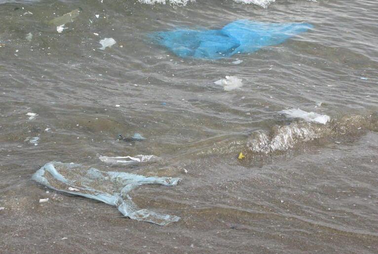 In città l’uomo che scoprì il “continente di plastica” Il Tirreno