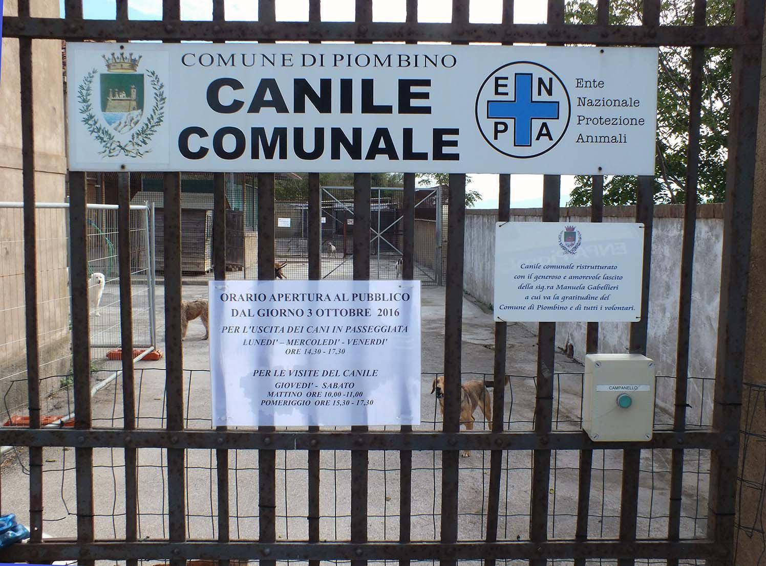 Canile, il Comune battuto in giudizio: trasloco entro 90 giorni - Il ...