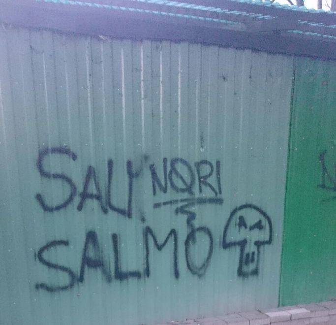 Al Torrenova ancora scritte della baby gang - Gazzetta di Modena