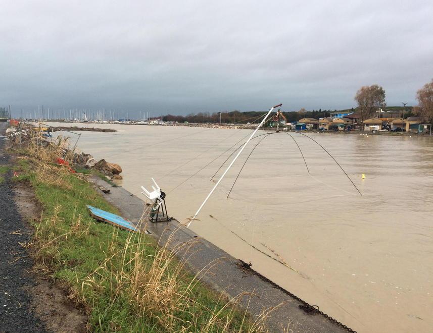 La foce del fiume è intasata, scatta l’ordinanza - Il Tirreno