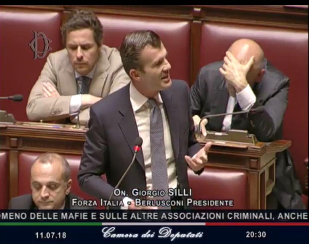Silli e Donzelli portano in Parlamento il caso delle mafie straniere Il ...