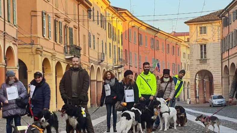 Una passeggiata per dire no ai botti di Capodanno - FOTO Gazzetta di Reggio Una passeggiata per dire no ai botti di Capodanno - FOTO Gazzetta di Reggio