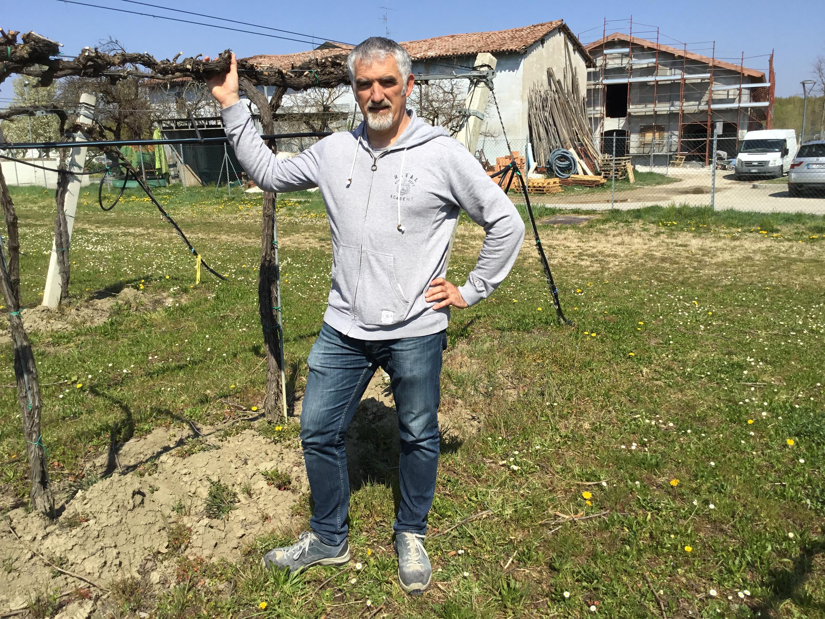 Castelfranco, L’azienda vitivinicola “San Paolo” dove il vino si affina ...