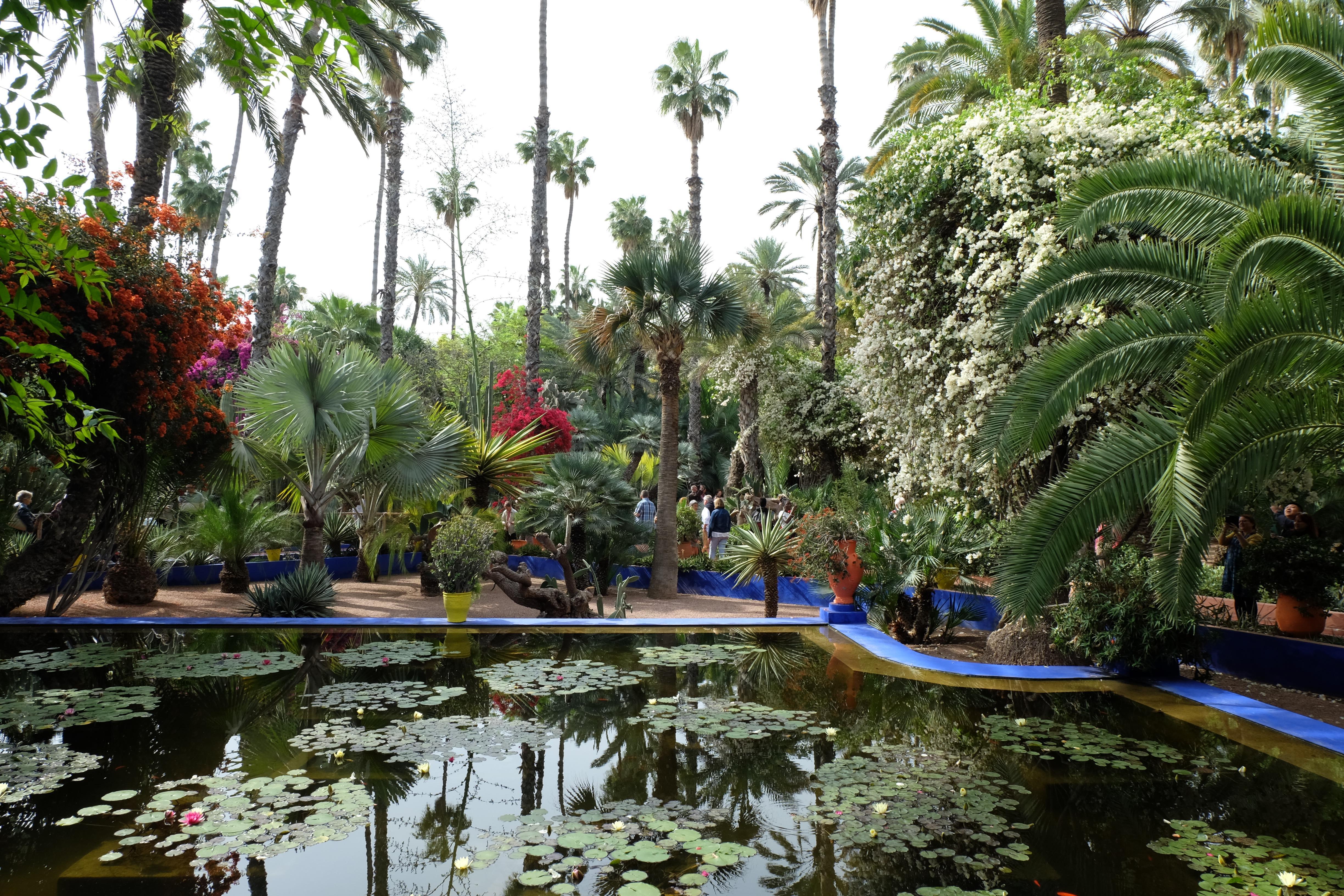 Check in/ I giardini di Marrakech: alla scoperta della sua anima green ...