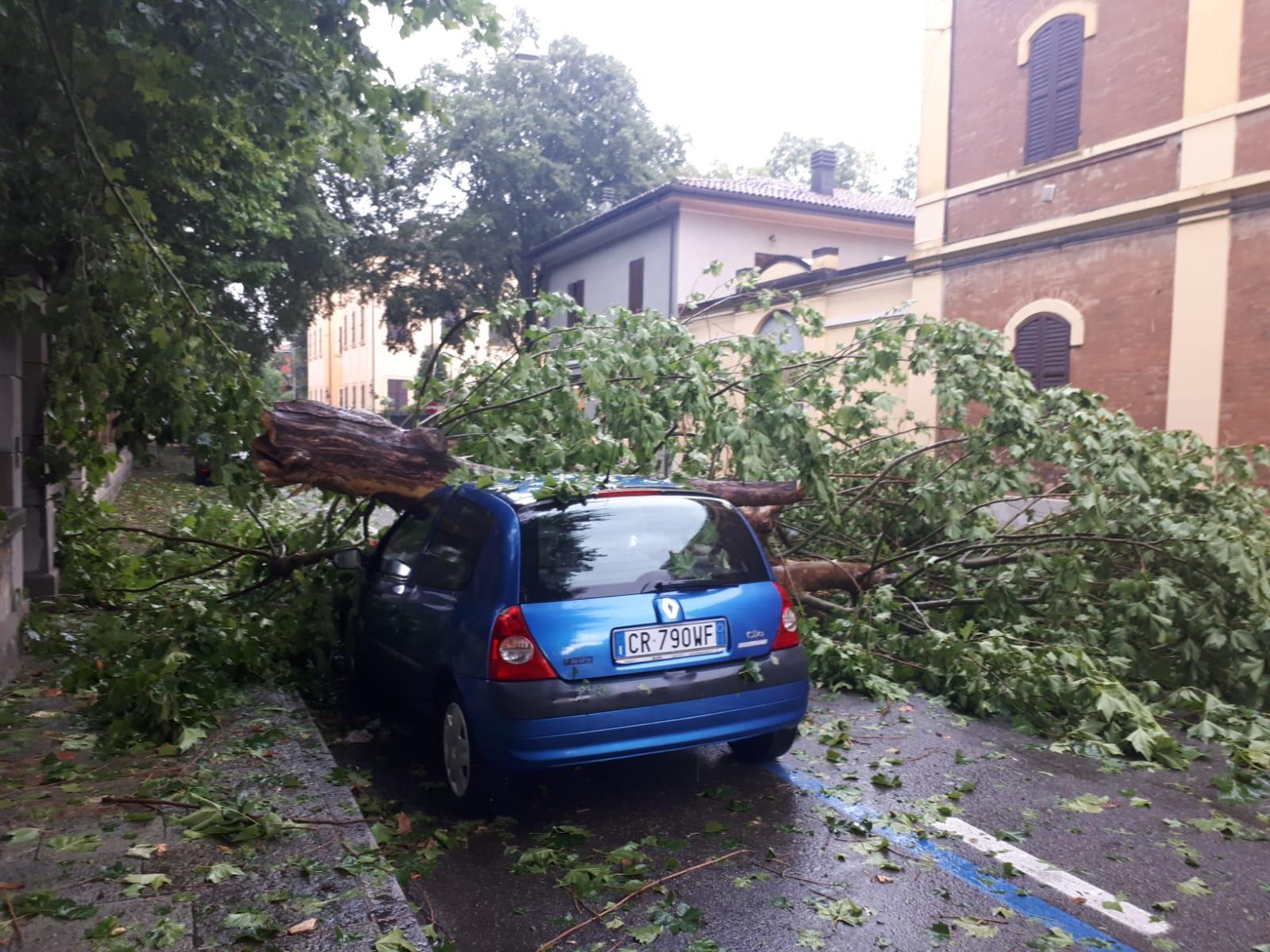 LO SPECIALE/ Modena sferzata da vento a 111 km all'ora e chicchi di ...