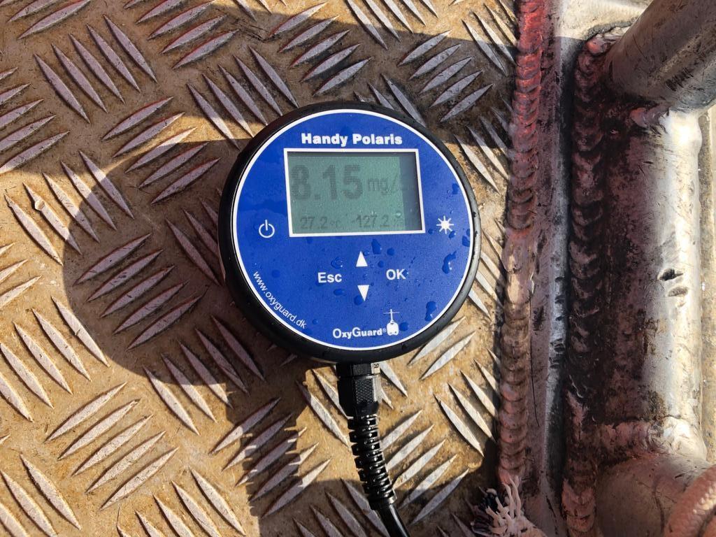 Mare caldo come un brodo, acqua a 27 gradi centigradi - Il Tirreno