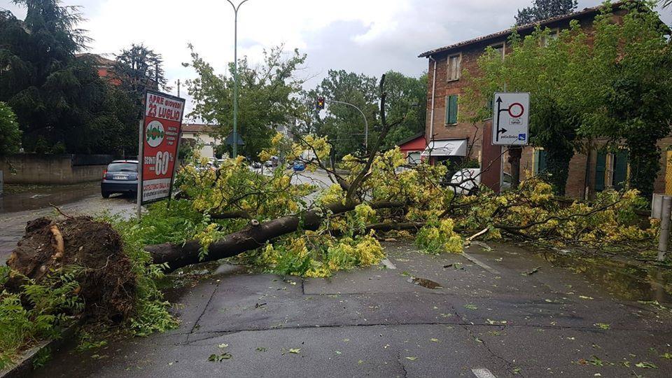 Modena, nuova ondata di maltempo: tetti scoperchiati, alberi caduti ...
