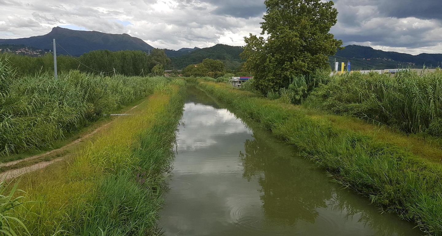 Via all’affidamento dei lavori agli argini della Gora di Stiava - Il ...