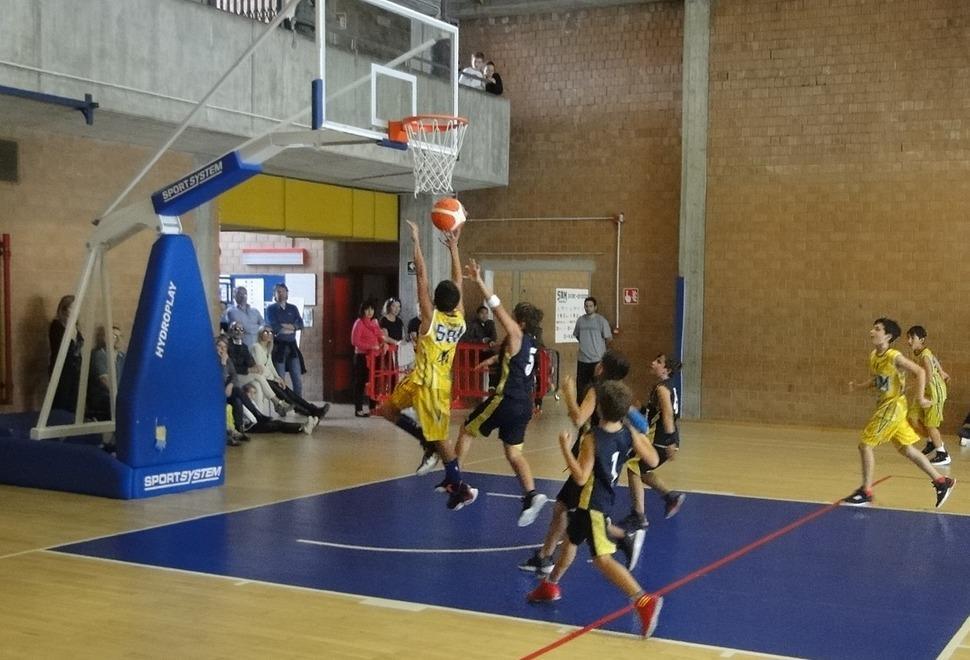 Decolla il progetto di Proli: è nato il Modena Basket - Gazzetta di Modena