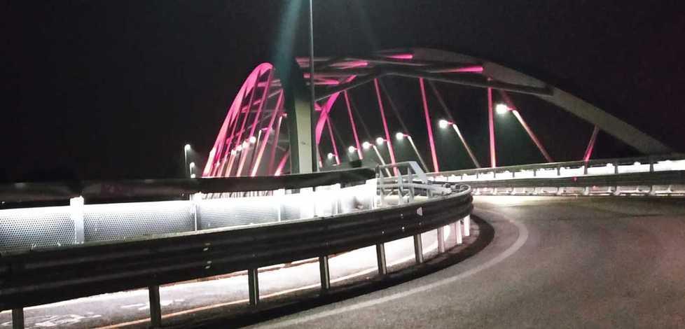 Camminate solidali e Bomporto illumina il ponte di rosa Gazzetta di Modena