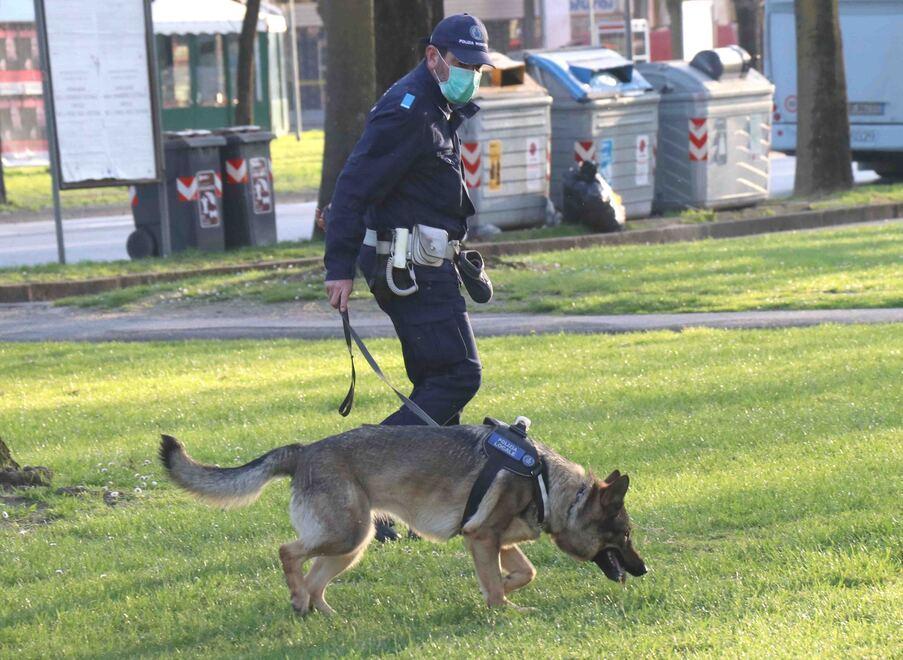 Il grande fiuto di Aaron Il cane fa ritrovare nove dosi di hashish La ...