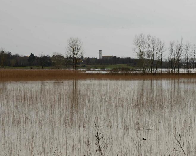 Lavori sul Padule di Bientina per scongiurare gli allagamenti Il Tirreno