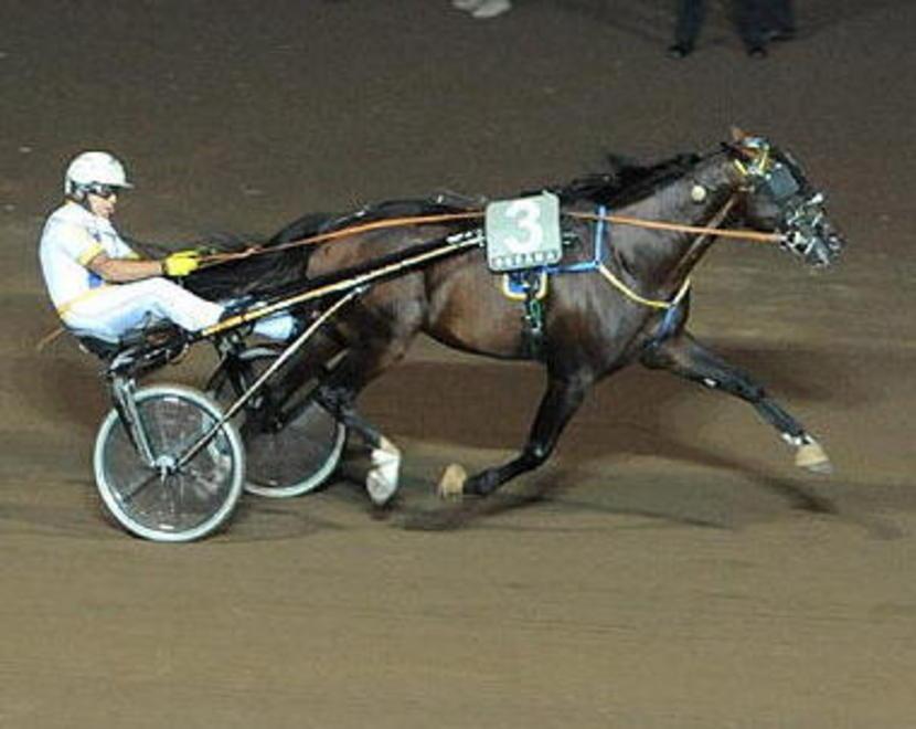 Mack Grace fa poker al Gp di Ferragosto - Foto Il Tirreno