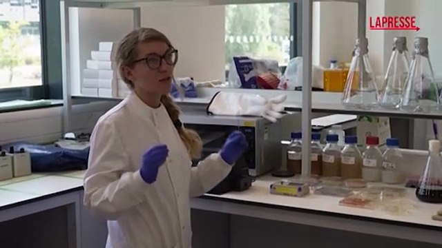 Regno Unito, il principe William e Cate Blanchett nel laboratorio ...