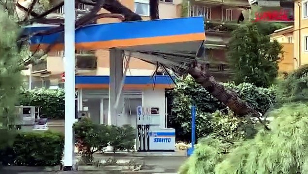 Maltempo a Roma, albero si abbatte su un distributore di carburante ...