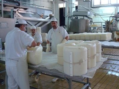 Caro bollette, l'allarme del caseificio Pinna: «Abbiamo investito nel ...