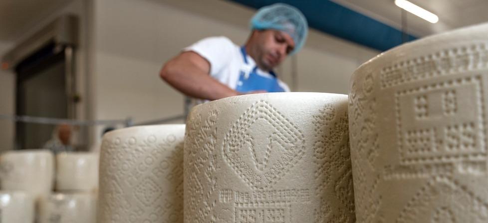 Tremano i colossi del latte: la bolletta energetica fa paura - La Nuova ...