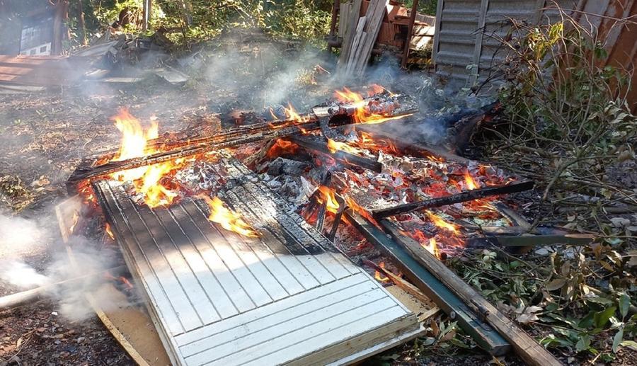 Imprenditori sorpresi a bruciare scarti edili nel bosco livornese - Il ...