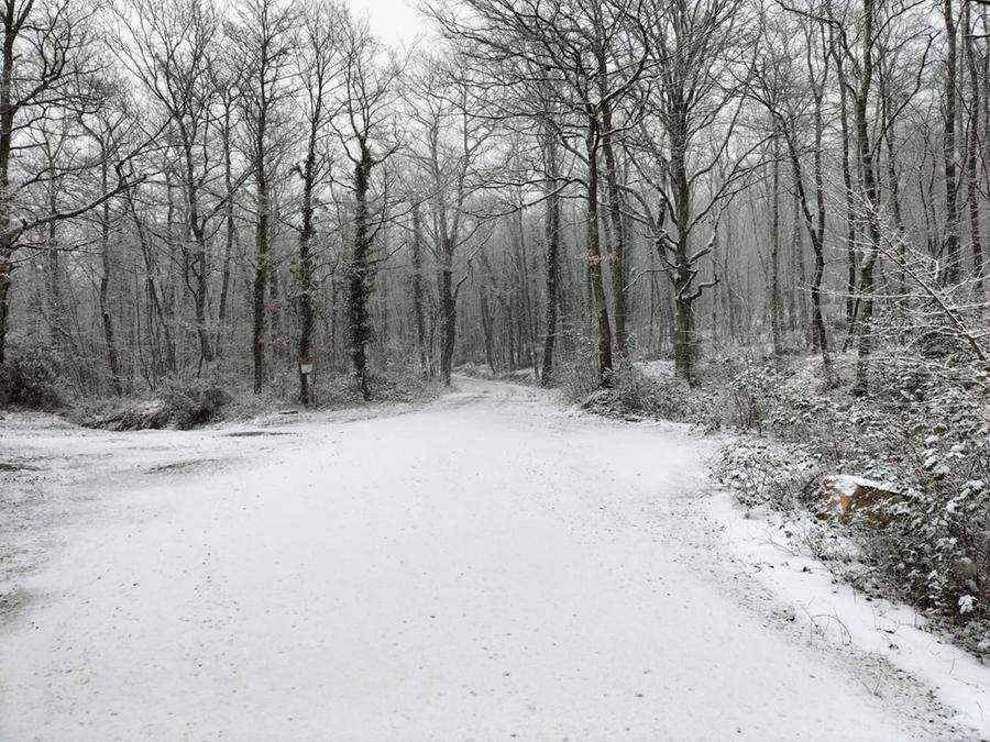 Neve in alta Valdera, un velo bianco anche sul Monte Serra – Video - Il Tirreno