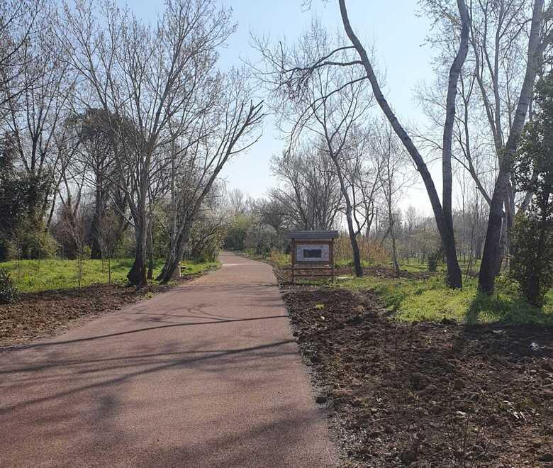 Pisa, il Parco Europa aperto alla città:«Area strappata al degrado ...