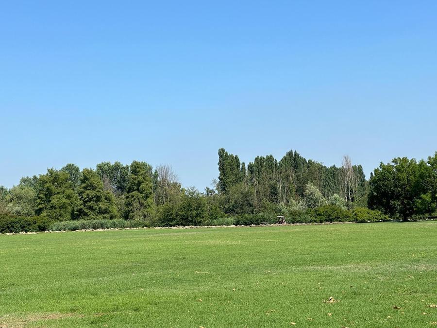 Ferrara, il parco Urbano riapre. Fabbri: “Area verde rinnovata” La ...