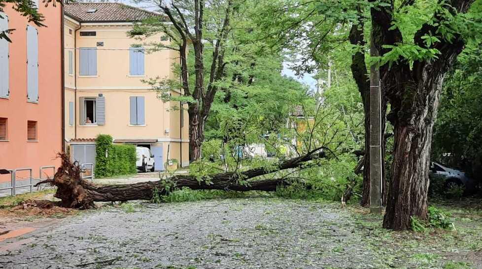 Grandine come palle da tennis: la Bassa modenese devastata Gazzetta di ...