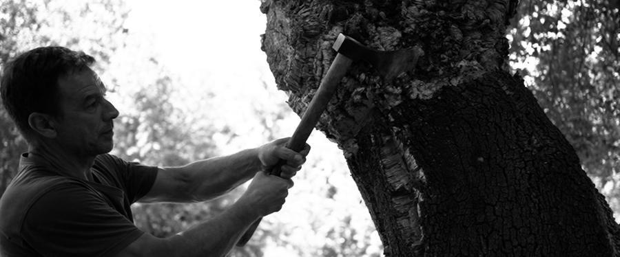 Neoneli, un film sulle sugherete La Nuova Sardegna